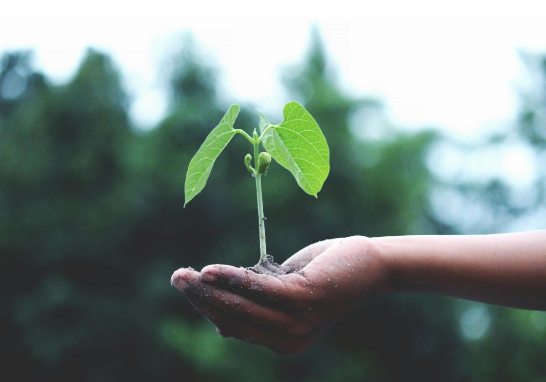 Sustainability in Tech